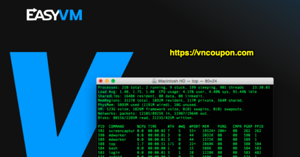 EasyVM Launches VPS Services in Ashburn, VA - 35% OFF recurring